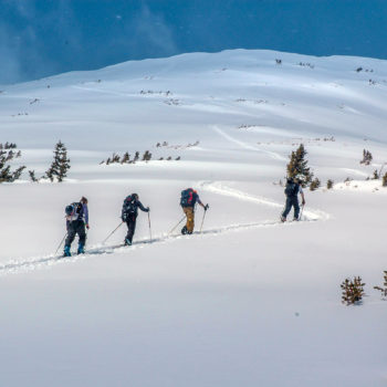 Home - Tactical Evolution Group