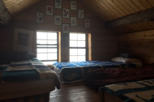 Home - Tactical Evolution Group